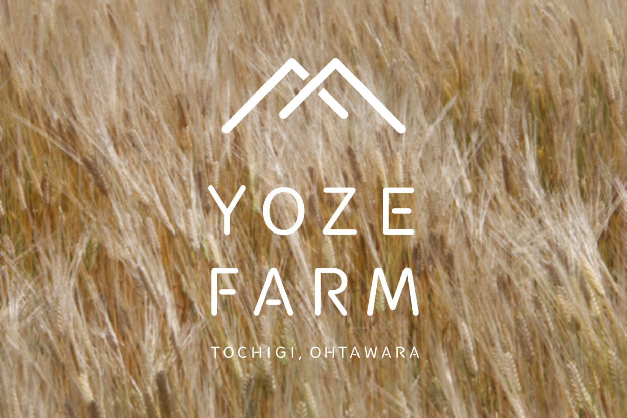 YOZE FARM - TAWARASHA